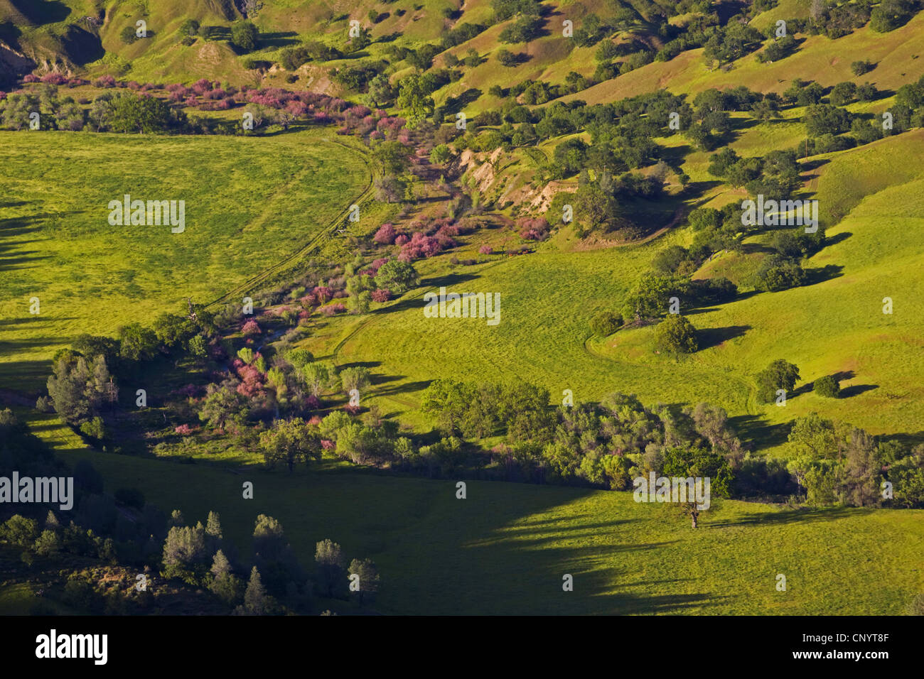 Grassland Farms Stock Photos & Grassland Farms Stock Images - Alamy