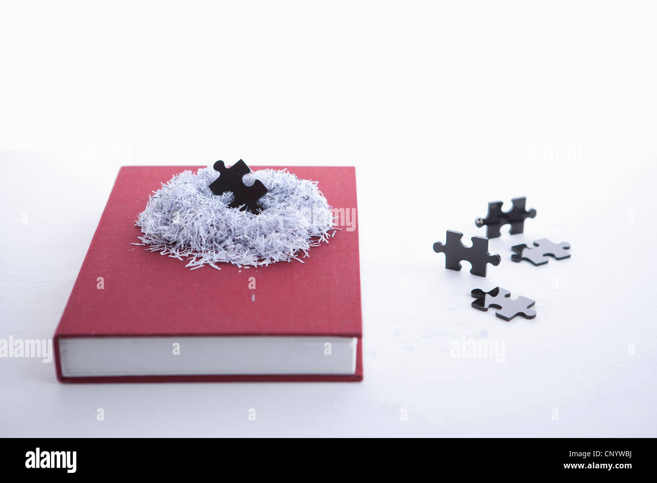 The shredded paper on the book and the pieces of puzzle Stock Photo - Alamy