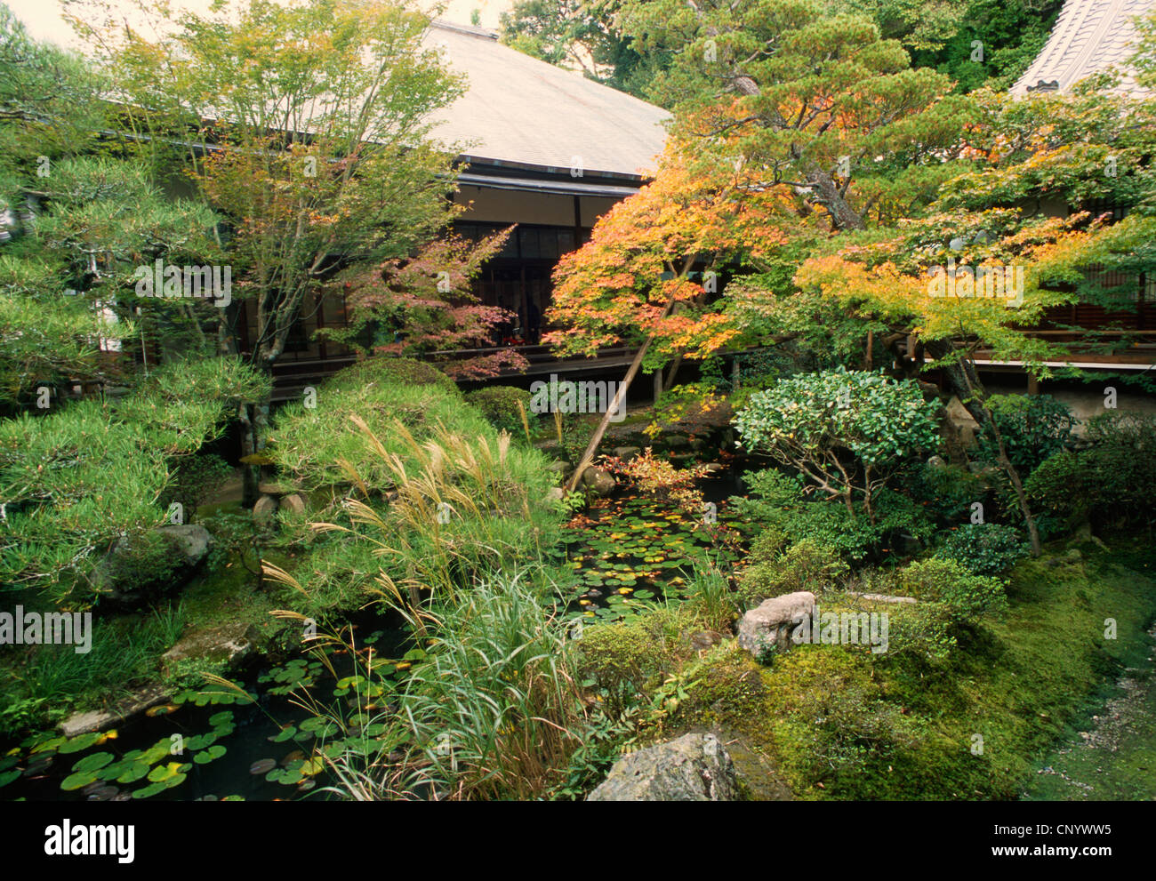Japan, Kansai, Kyoto, Zenrin-ji, Eikan-do, temple, garden Stock Photo ...