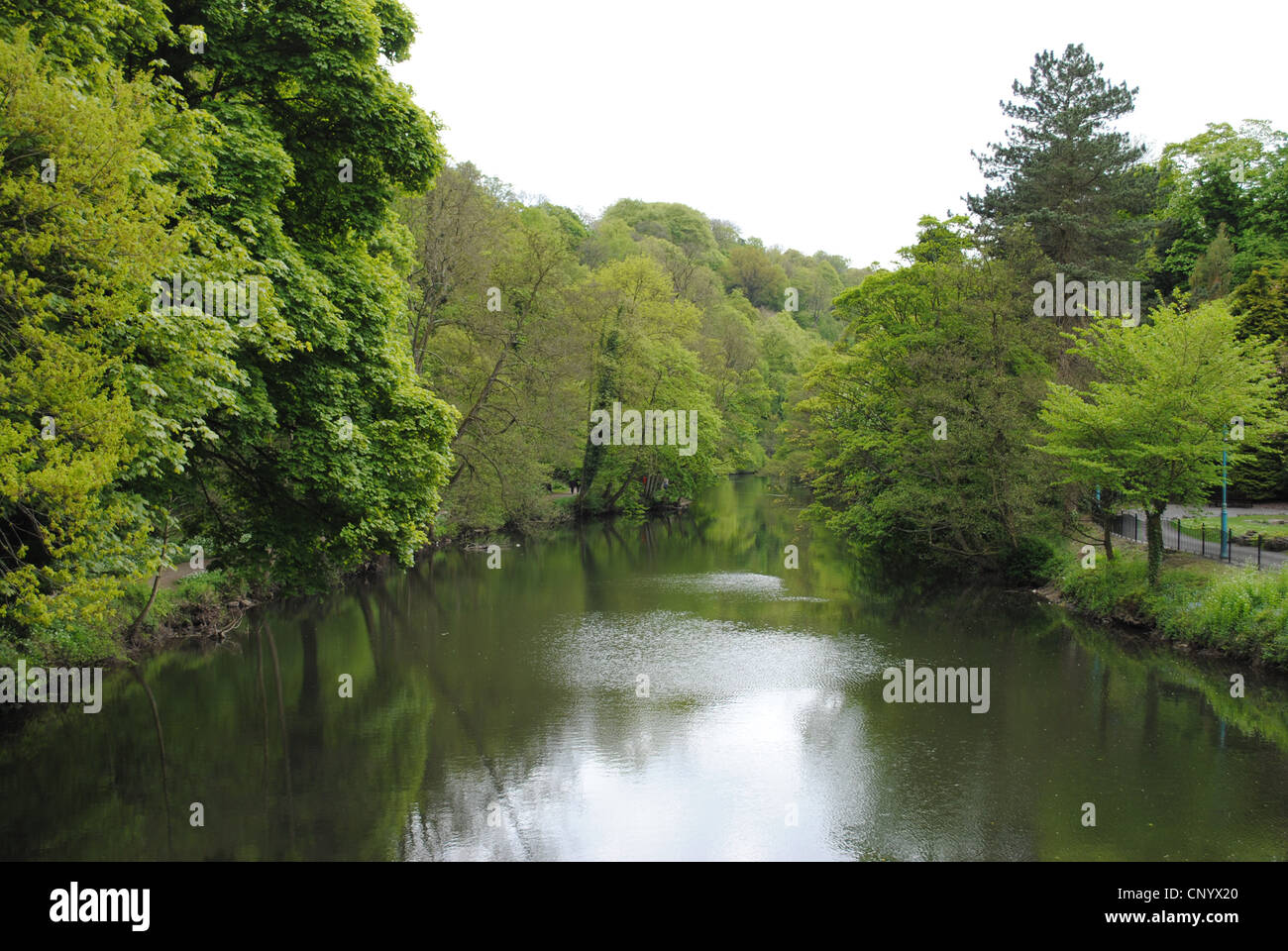 Matlock bath hi-res stock photography and images - Alamy