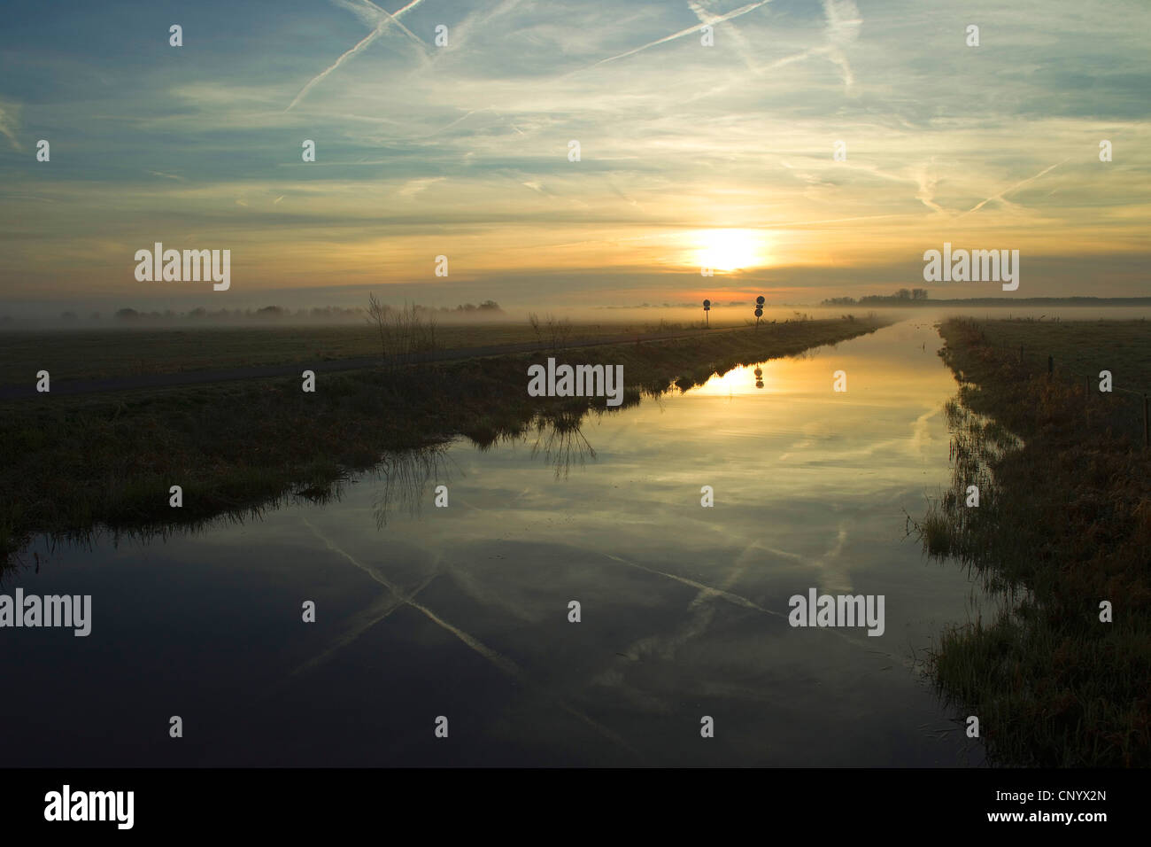 nature reserve Ochensmoor at sunrise, Germany, Lower Saxony Stock Photo ...