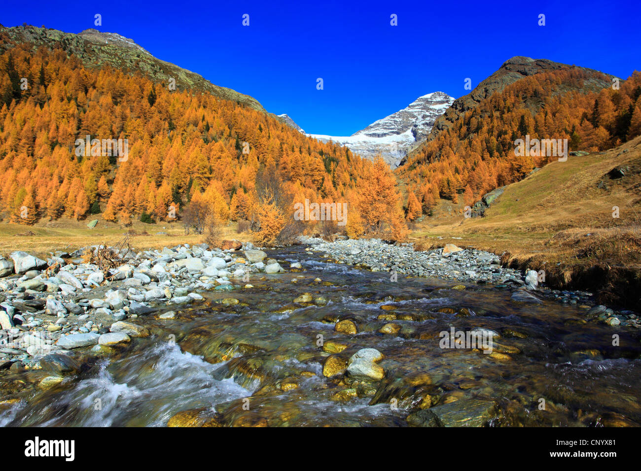 Valley in canton valais switzerland hi-res stock photography and images ...