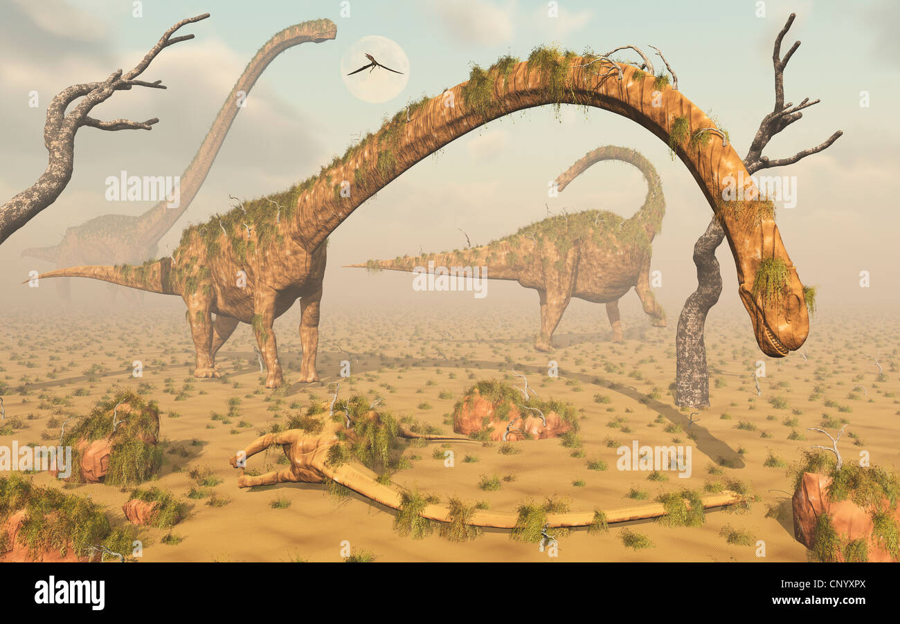 Prehistoric fossils hi-res stock photography and images - Alamy