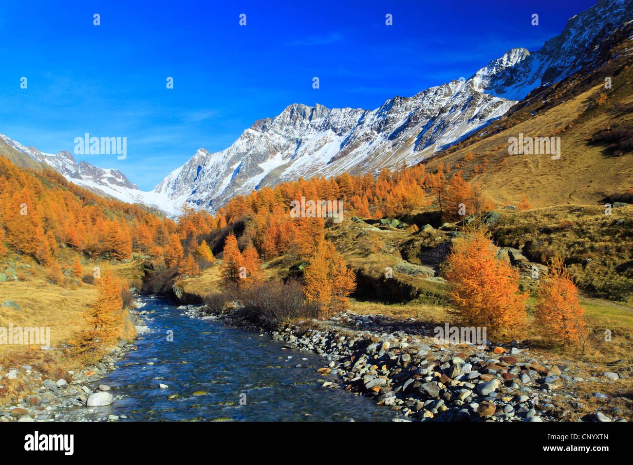 valley Loetschental with Lonza river, view of Alpine passes ...
