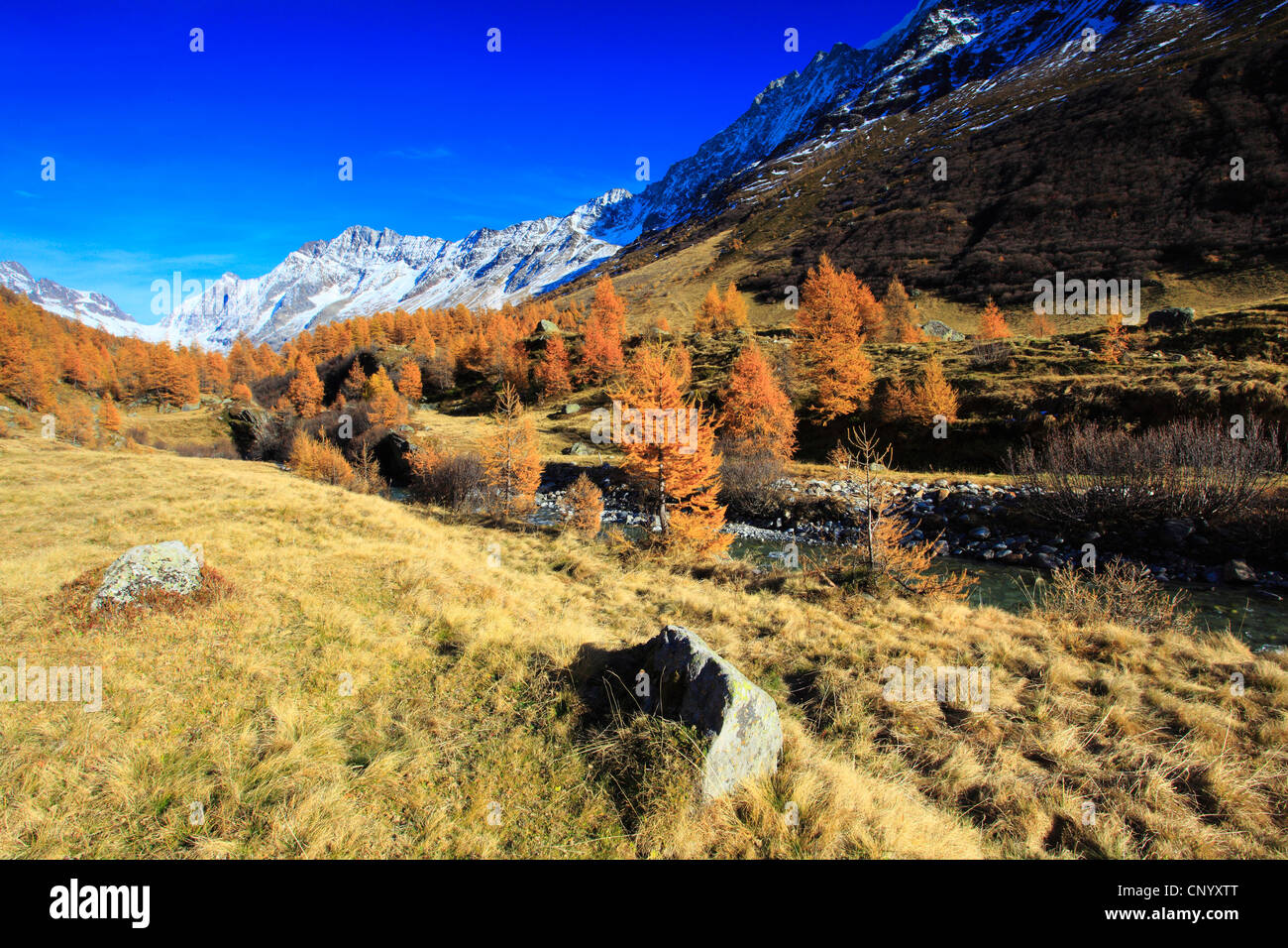 Lonza hi-res stock photography and images - Alamy