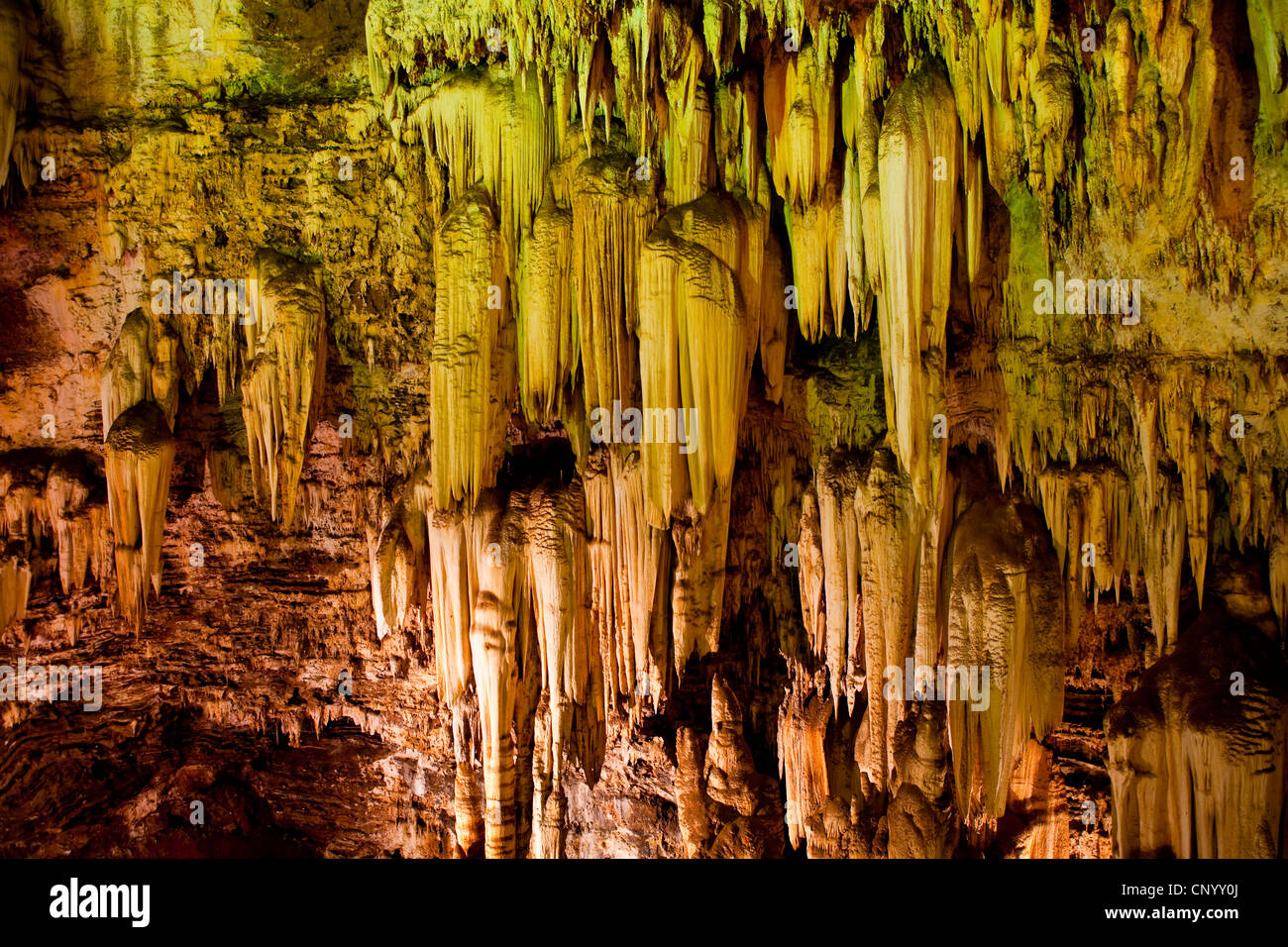 Wonder Cave, Kromdraai, Cradle of Humankind, Gauteng, South Africa ... Wonder Cave, Kromdraai, Cradle of Humankind, Gauteng, South Africa ...