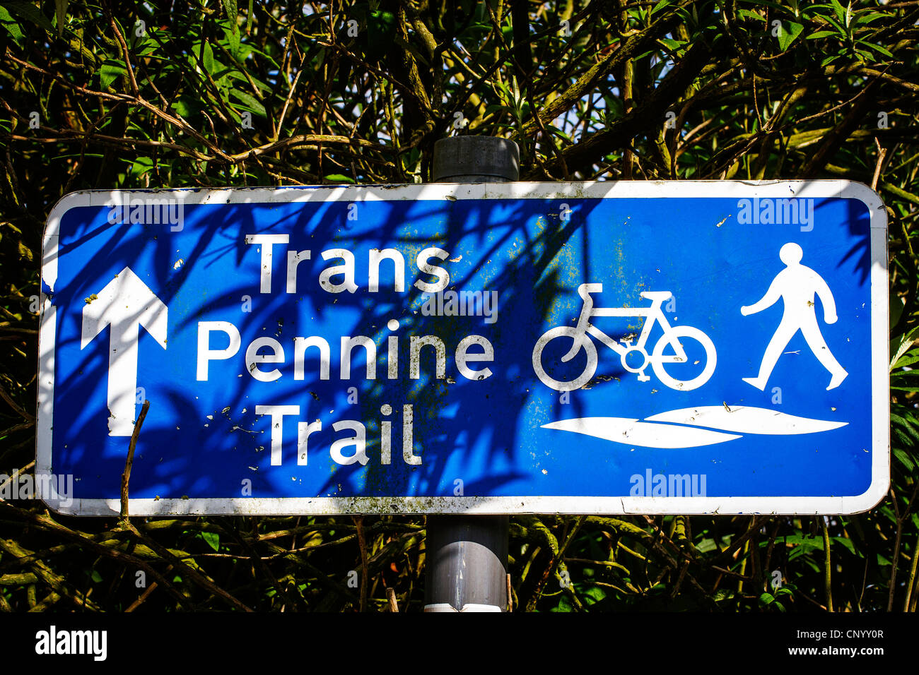 Sign for the Trans Pennine Trail on a sunny day in Warrington, England ...