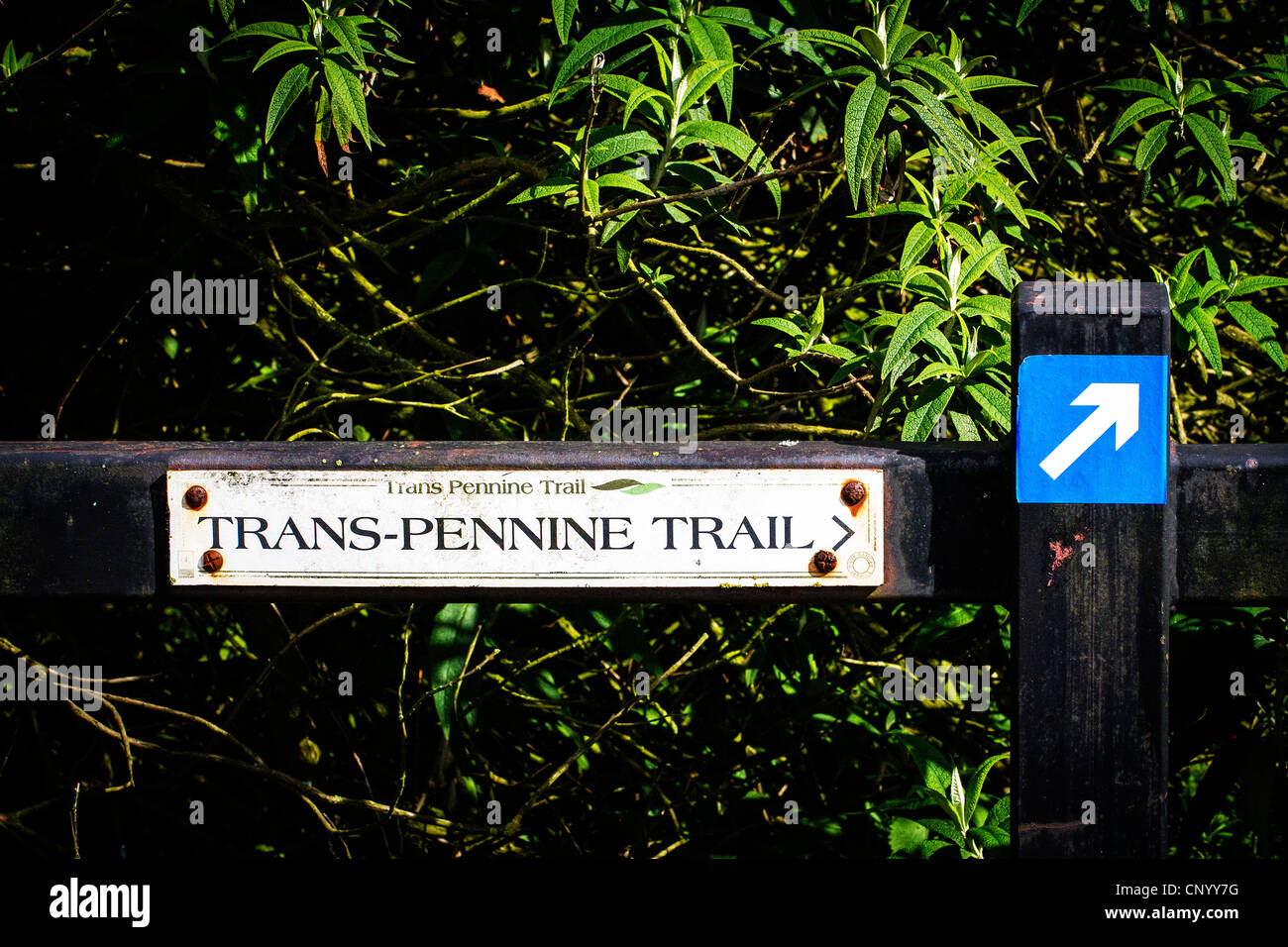 Sign for the Trans Pennine Trail on a sunny day in Warrington, England ...