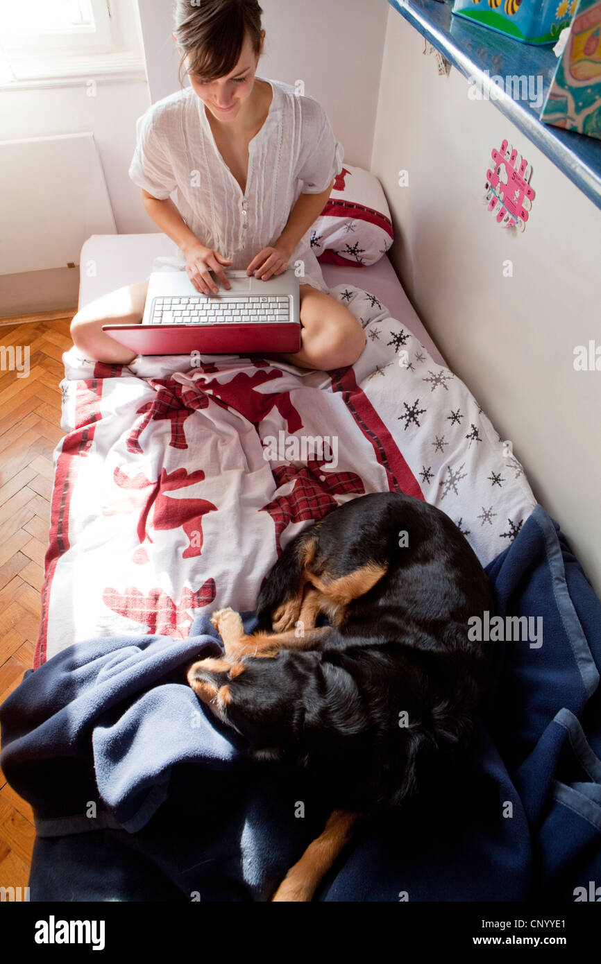 Sitted dog hi-res stock photography and images - Alamy