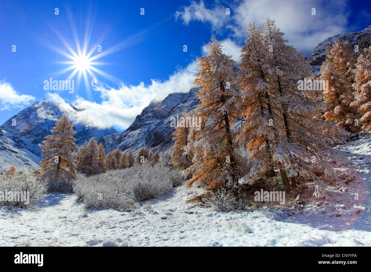Arolla valley and Mount Collon in snow, Switzerland, Valais Stock Photo ...
