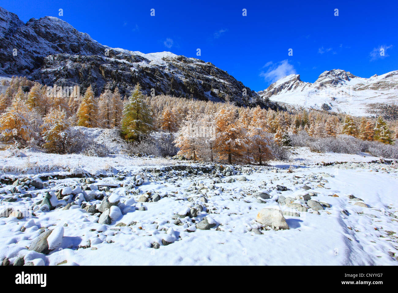 Onset of winter hi-res stock photography and images - Alamy