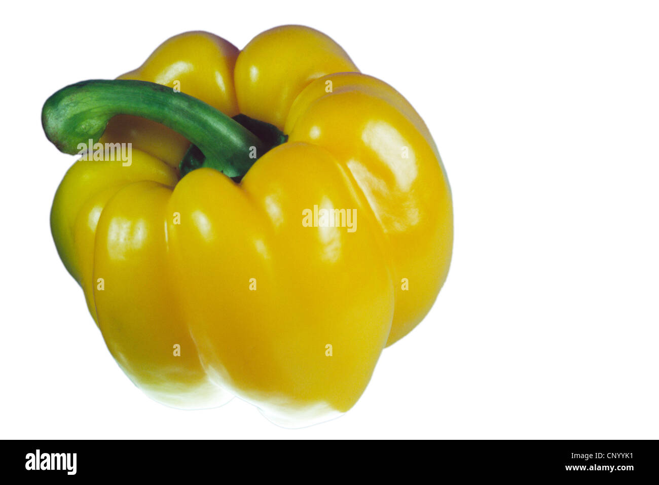 One Yellow Pepper White Background Stock Photo - Alamy