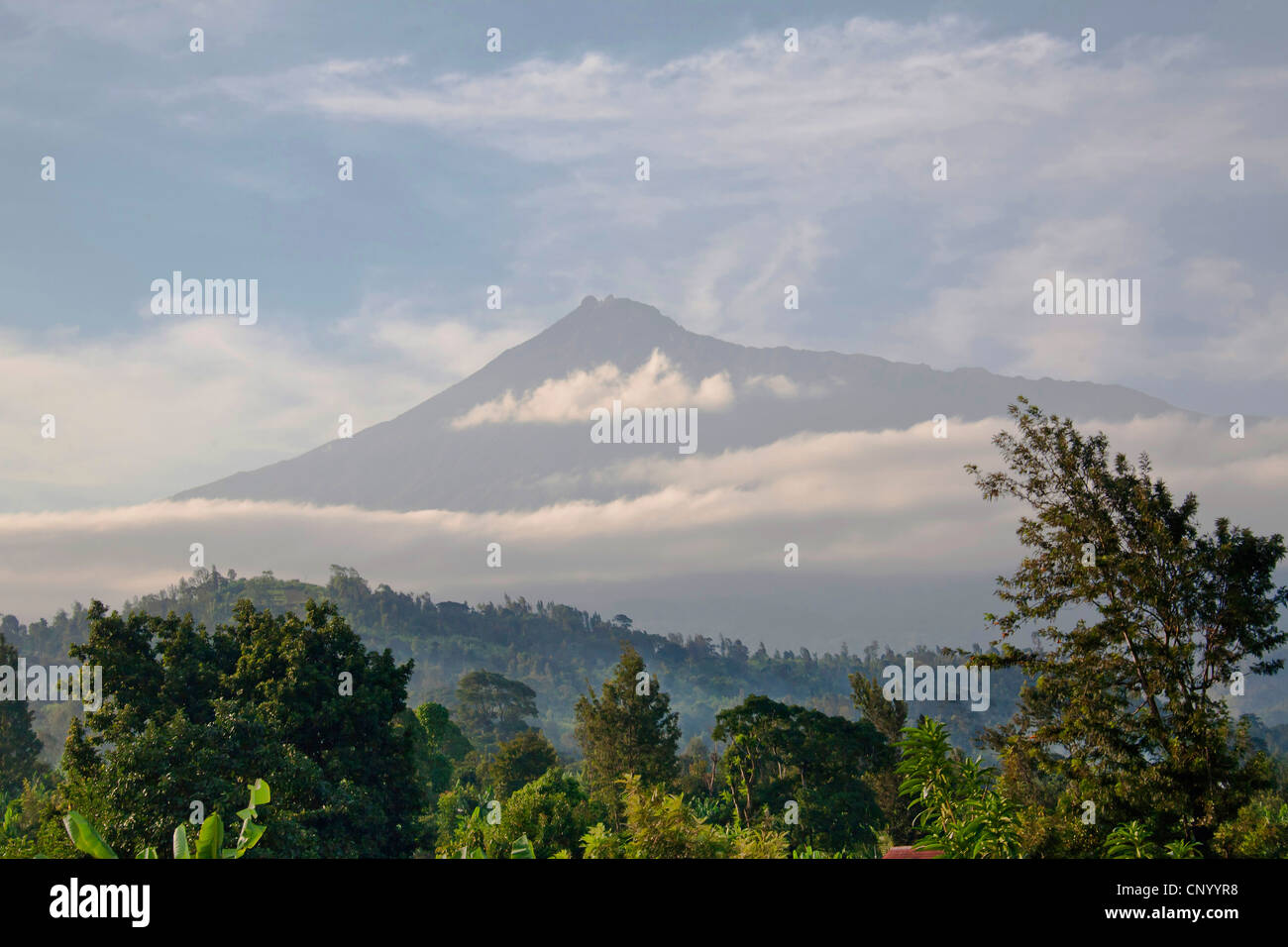 view to Mount Meru, Tanzania, Meru National Park Stock Photo - Alamy