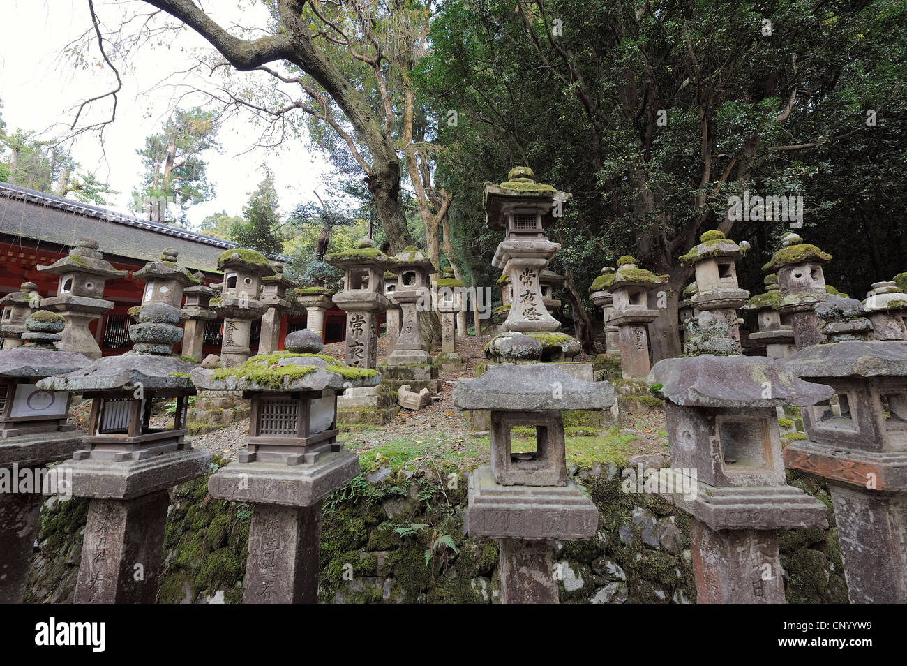 Moss stone lantern hi-res stock photography and images - Alamy