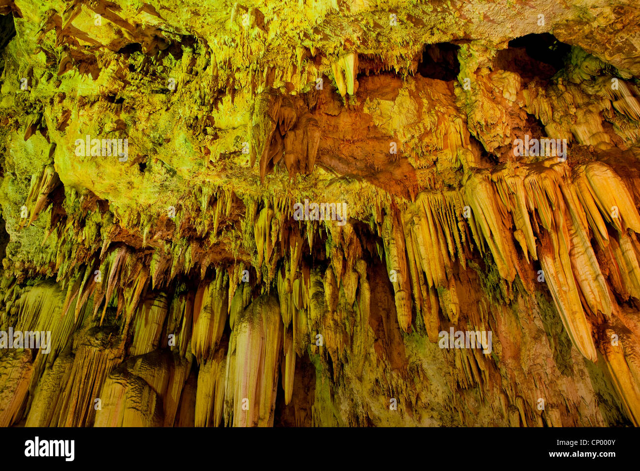 Wonder Cave, Kromdraai, Cradle of Humankind, Gauteng, South Africa ... Wonder Cave, Kromdraai, Cradle of Humankind, Gauteng, South Africa ...