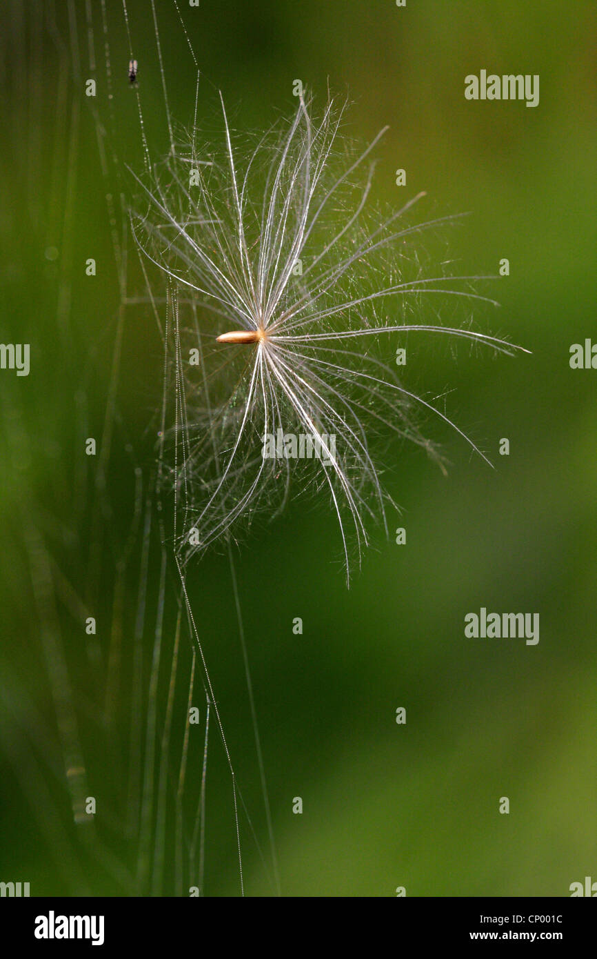 Rweb hi-res stock photography and images - Alamy