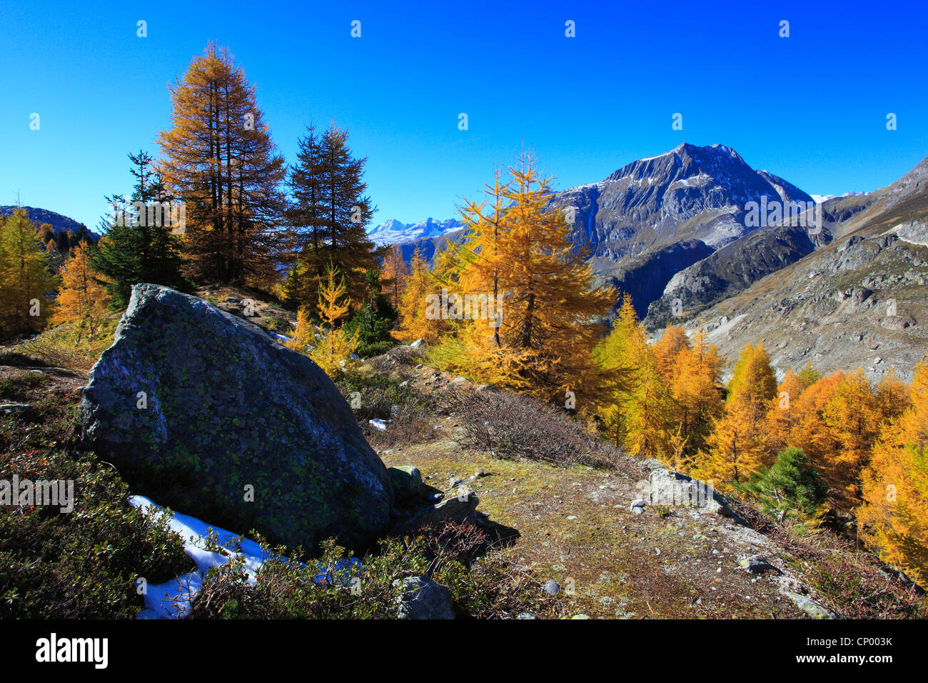 Aletsch area, Switzerland, Valais Stock Photo - Alamy