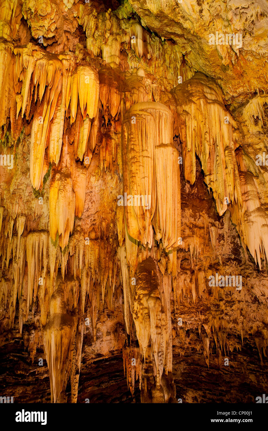 Wonder Cave, Kromdraai, Cradle of Humankind, Gauteng, South Africa ... Wonder Cave, Kromdraai, Cradle of Humankind, Gauteng, South Africa ...