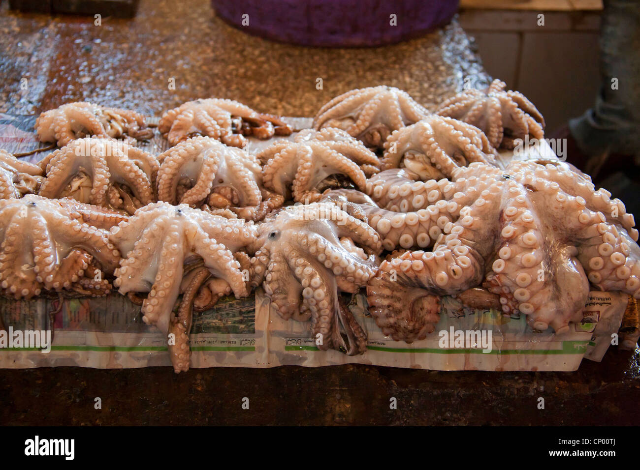 fresh calamars on the fish market, Tanzania, Sansibar, Stone Town Stock ...