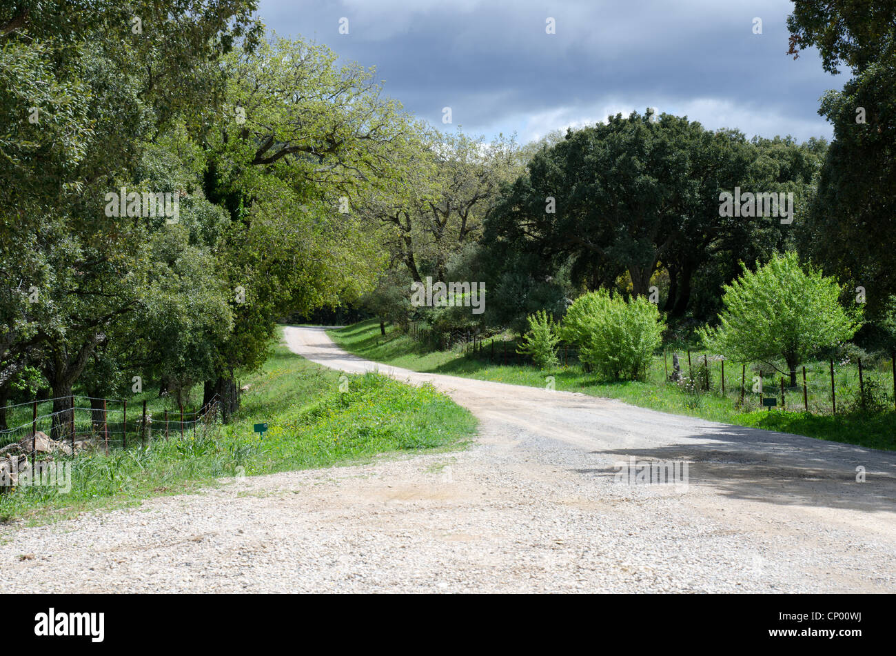 Rural country road in Andalucia, Spain Stock Photo - Alamy