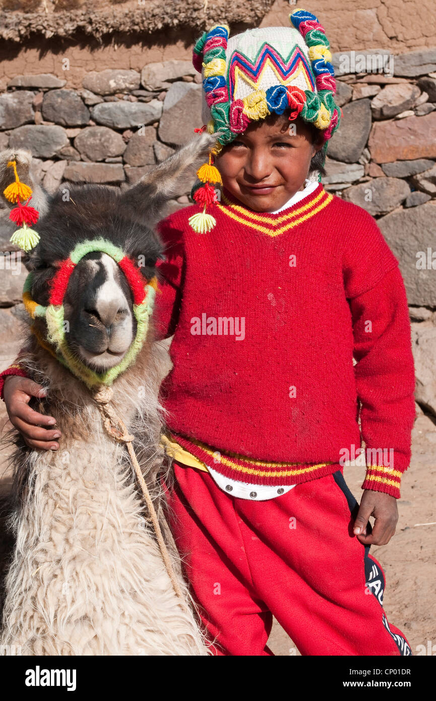 llama (Lama glama), Quechua boy caressing a llama, Peru, Atuncolla ...