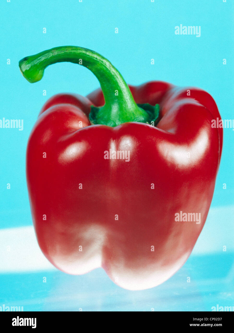 Red Pepper Background Blue Color Stock Photo - Alamy