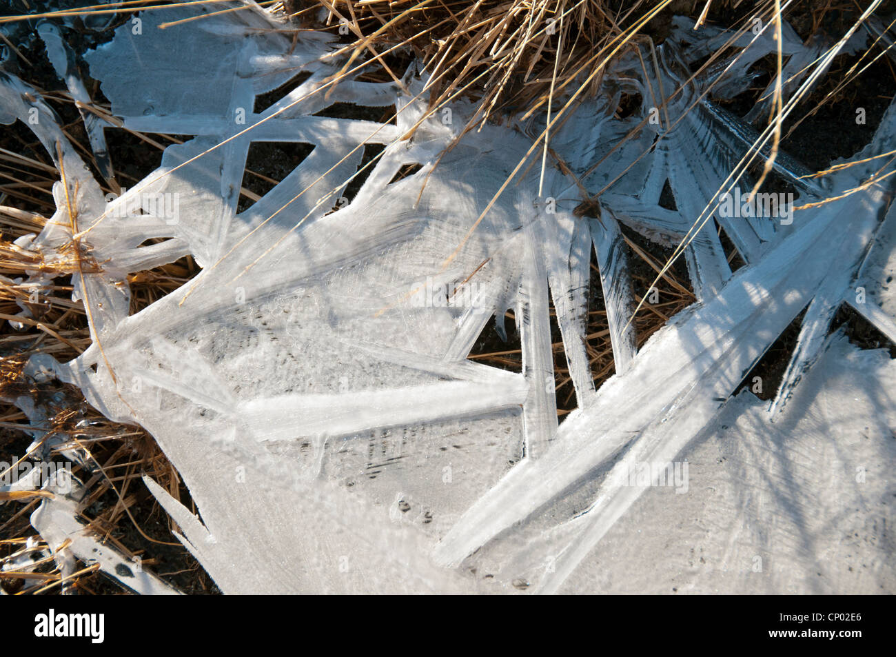Ice crystals on a path in Longdendale, Peak District, Derbyshire ...