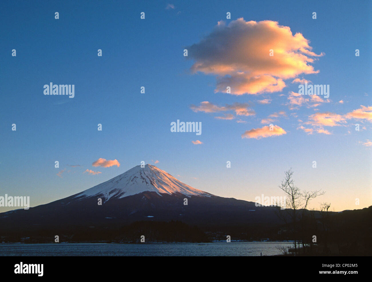 Japan, Mount Fuji, Lake Kawaguchi-ko Stock Photo - Alamy