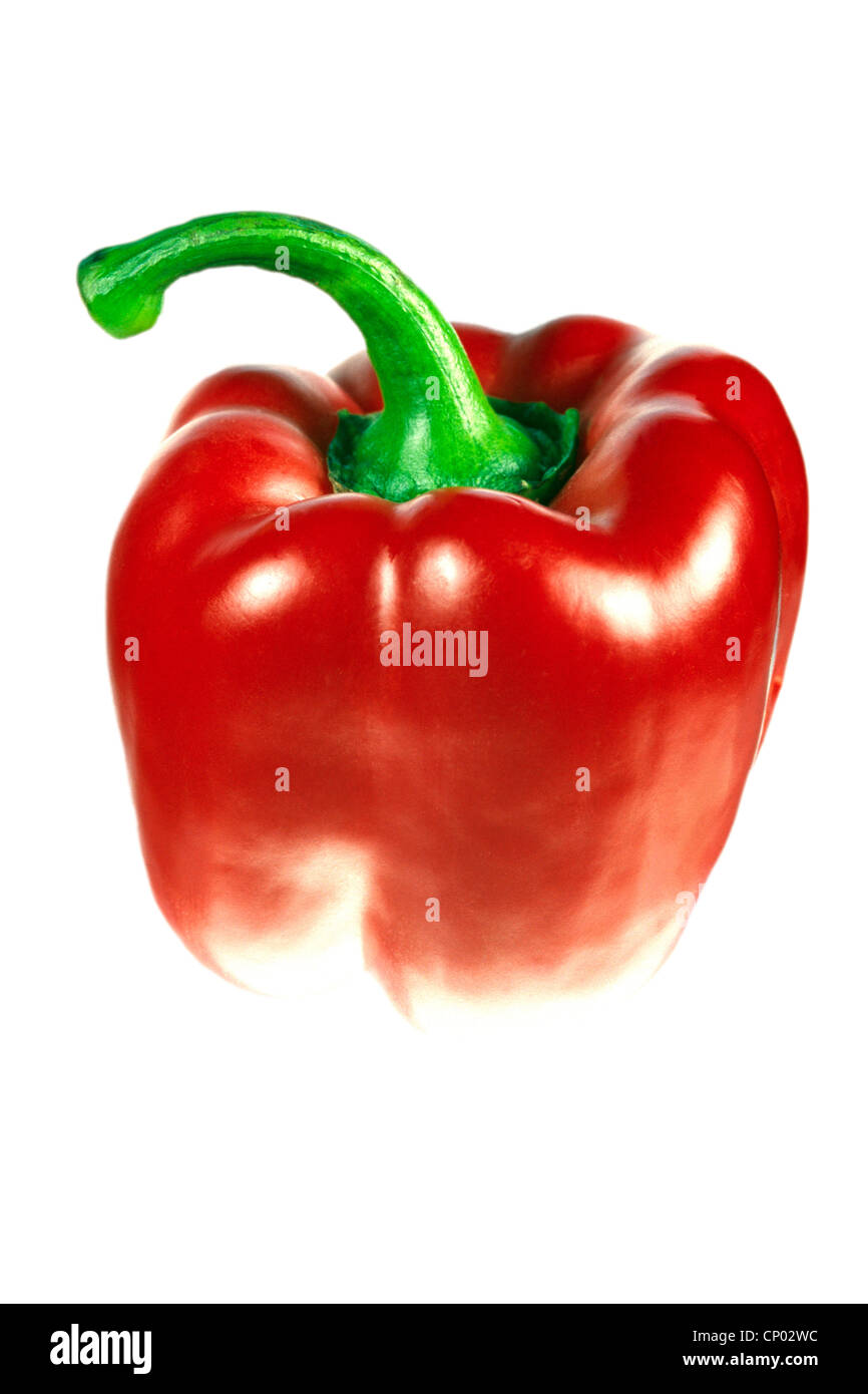 Red Pepper White Background Stock Photo - Alamy