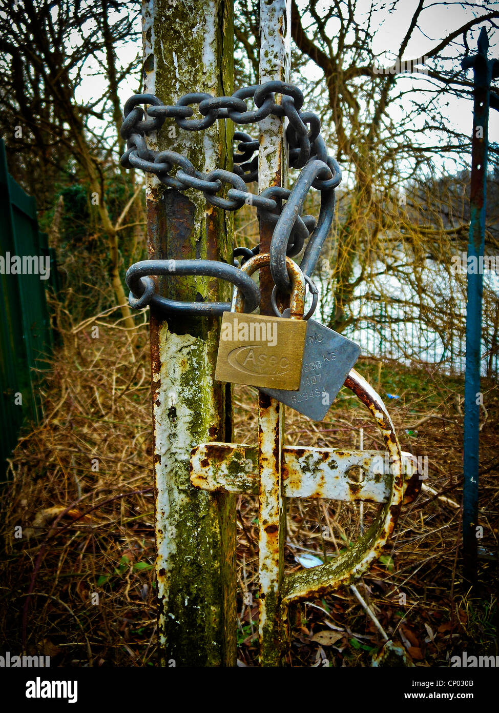 Brass padlock with chain wrapped around a metal gate and post at Lymm ...