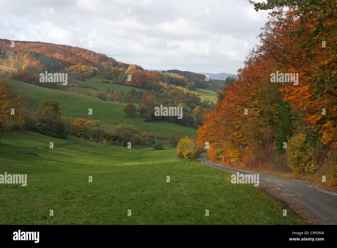 Eichsfeld hi-res stock photography and images - Alamy