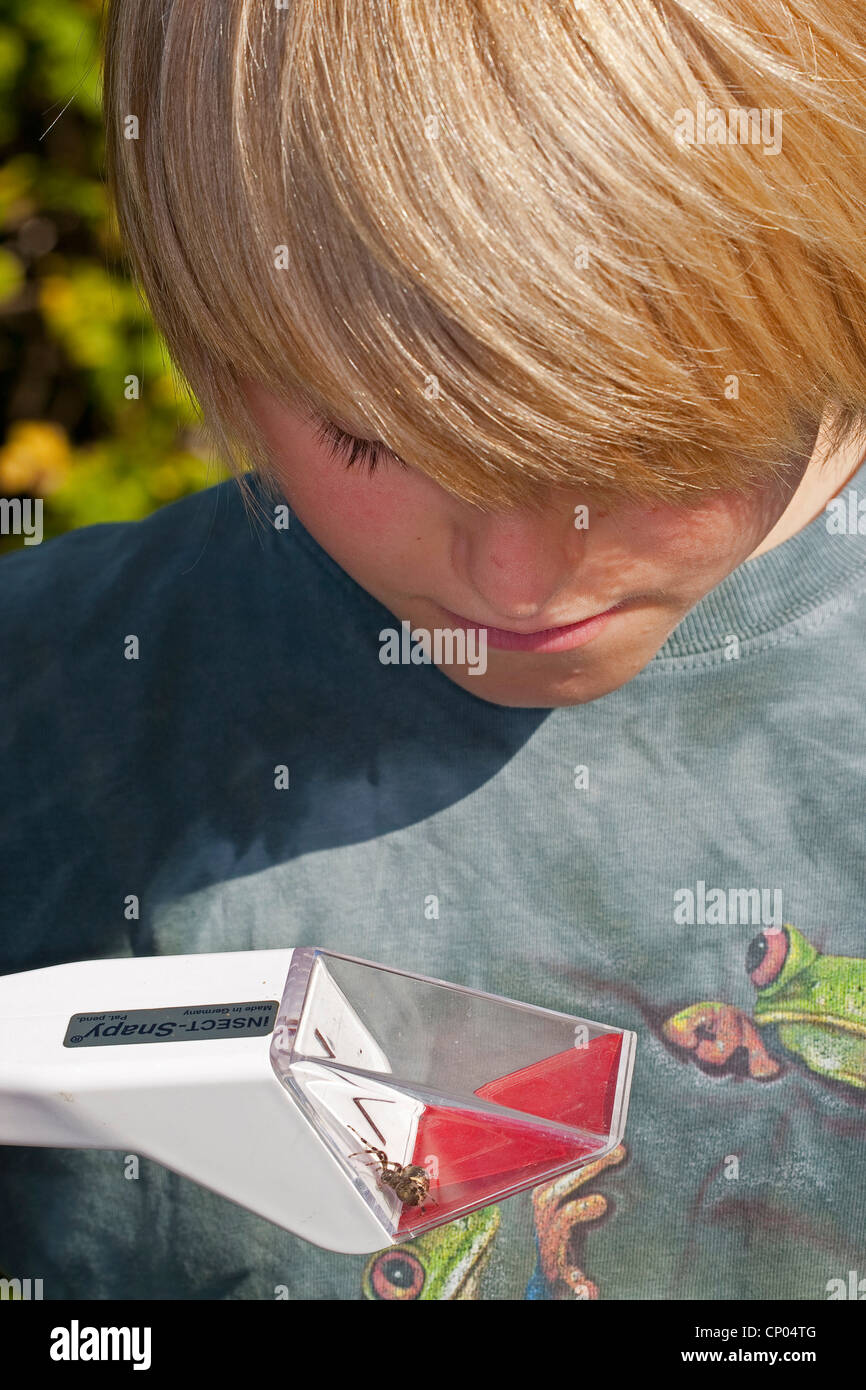 Boy looking at spider he caught alive with special instrument hi-res ...