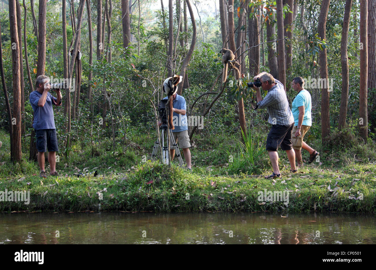 Martin Clunes Photographing a Lemur in Madagascar with an ITV Film Crew ...