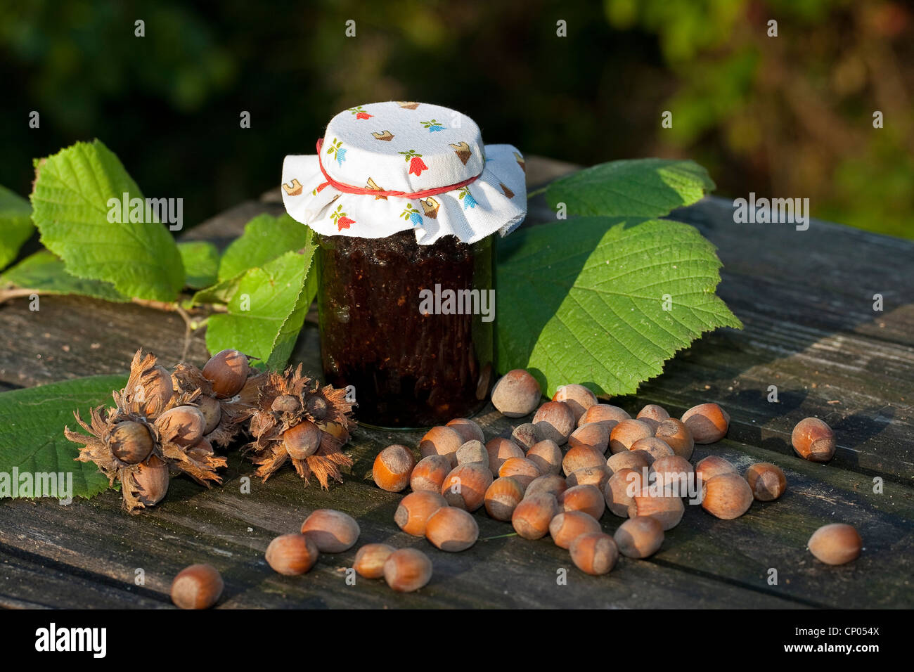 Common hazel (Corylus avellana), a glass of chocolate spread made of ...