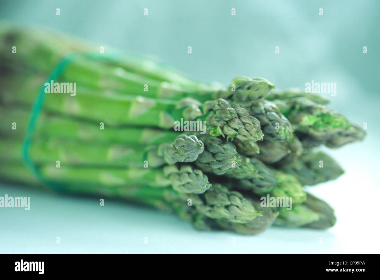 Bundle of Asparagus Close up Stock Photo - Alamy