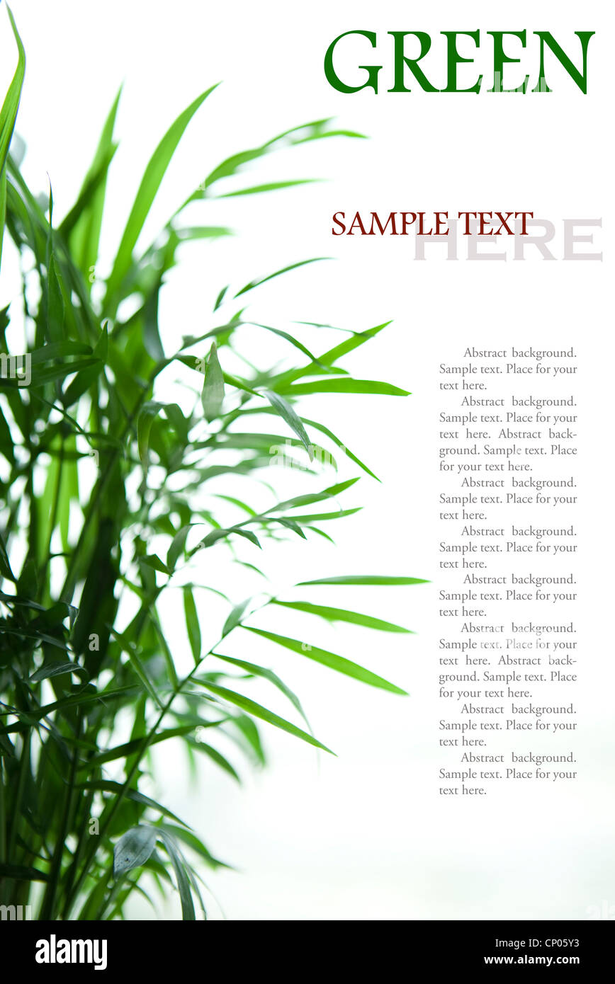 Spring nature background Stock Photo - Alamy