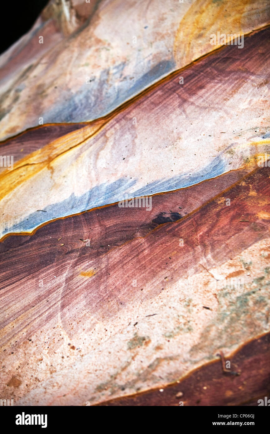 Natural colours in the stone, Petra, Jordan, Western Asia Stock Photo ...