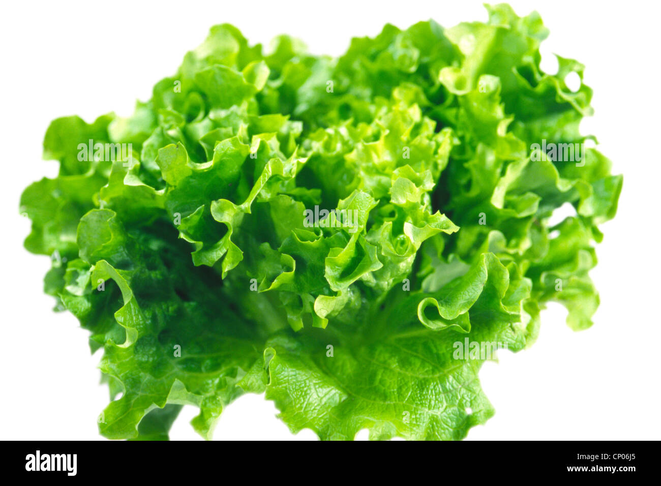 Salad Close up White Background Stock Photo - Alamy