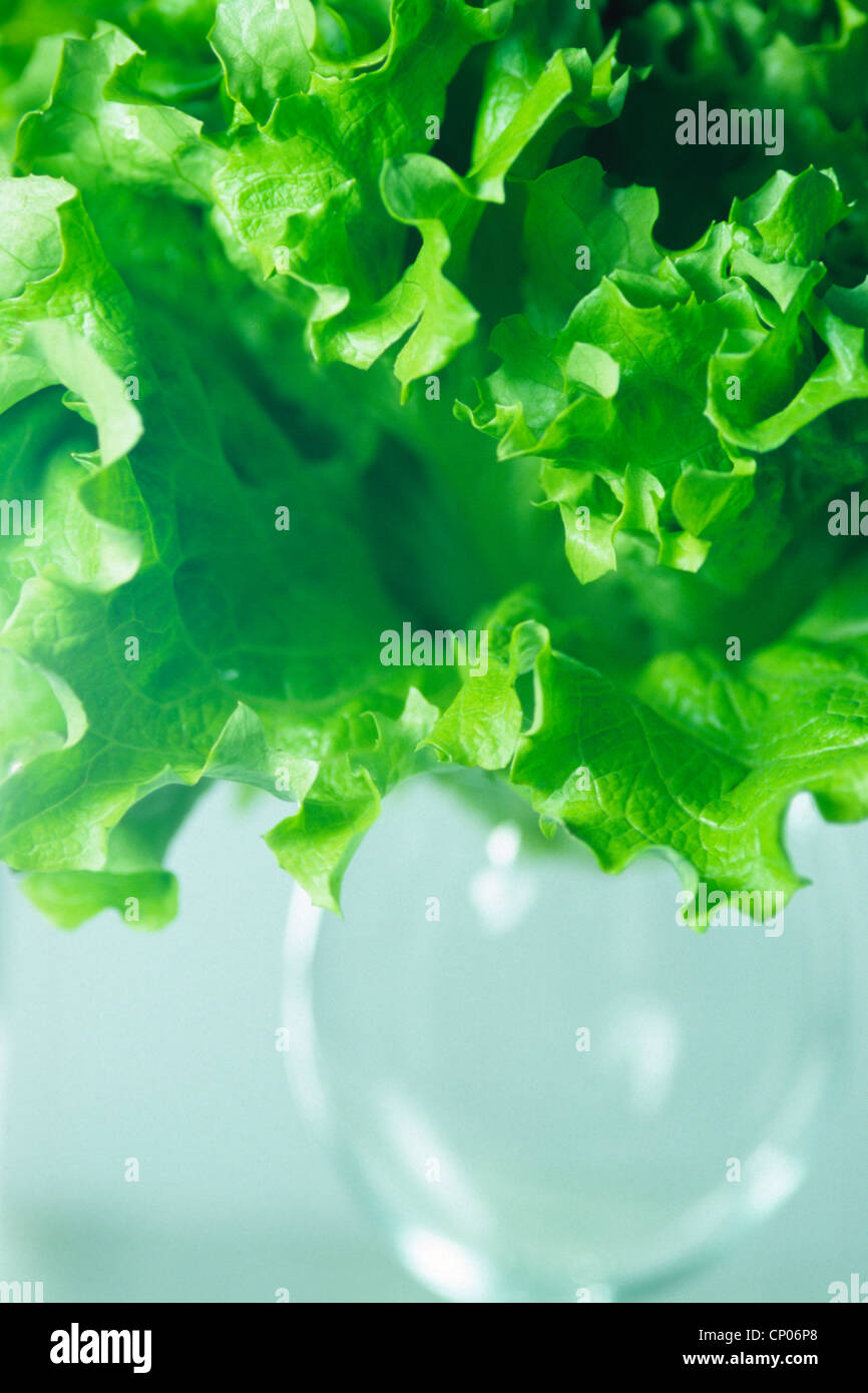 Salad Close up Stock Photo - Alamy