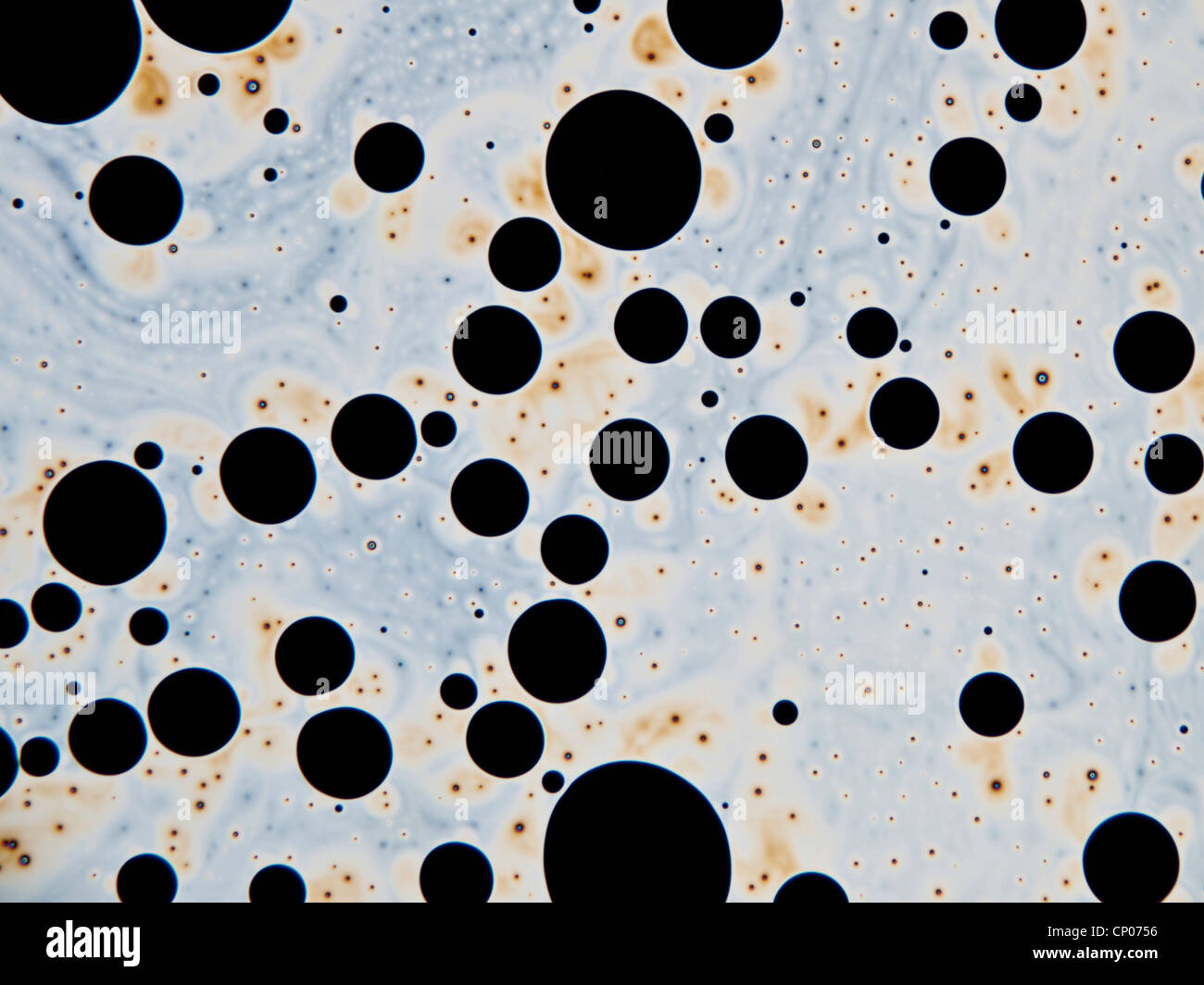 thin soapy film, tenside solution with interference colors Stock Photo ...