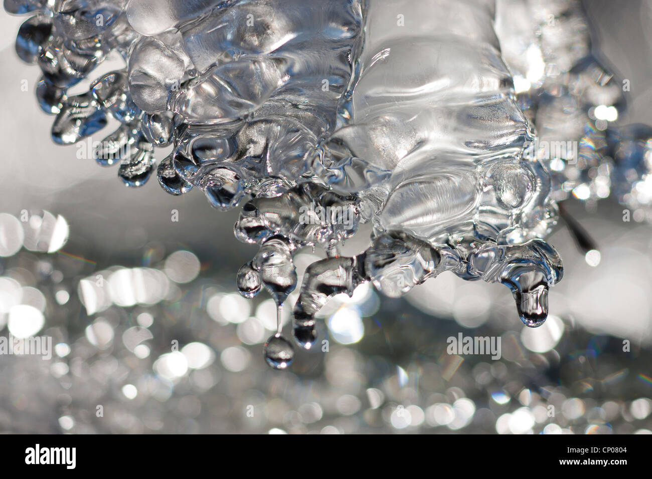 ice at the creek, Germany, Rhineland-Palatinate, Niederfischbach Stock ...