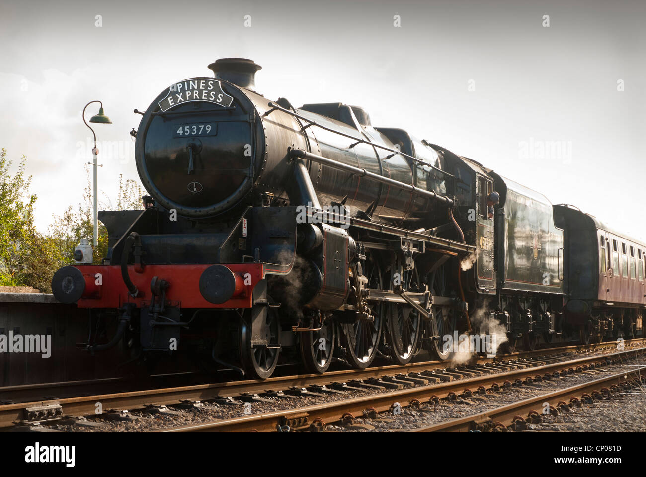 Pines Express High Resolution Stock Photography and Images - Alamy