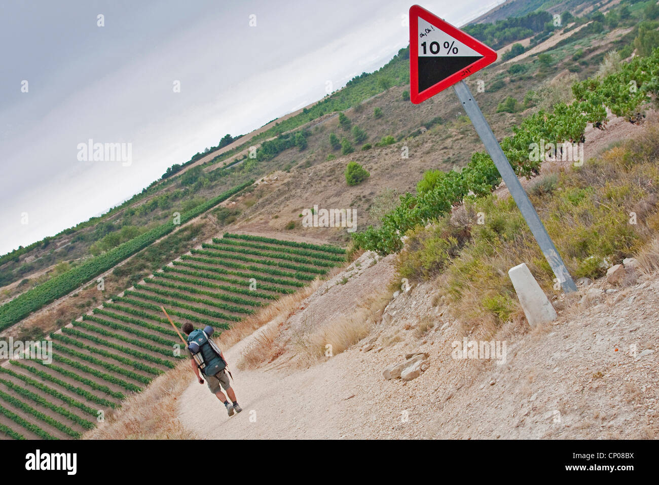 pilgrim on the Way of St. James between Los Arcos and Sansol, Spain ...