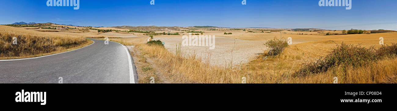 Camino frances summer landscape hi-res stock photography and images - Alamy