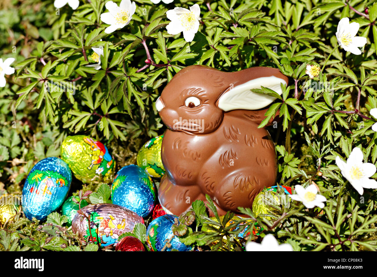 Chocolate easter rabbit in garden Stock Photo - Alamy