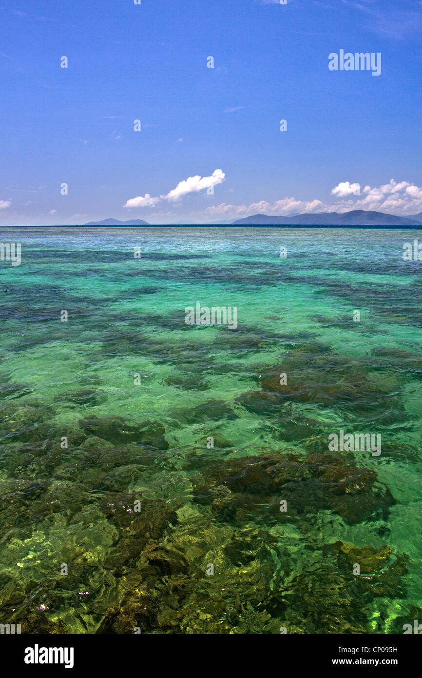 Great Barrier Reef, Queensland, Australia Stock Photo - Alamy
