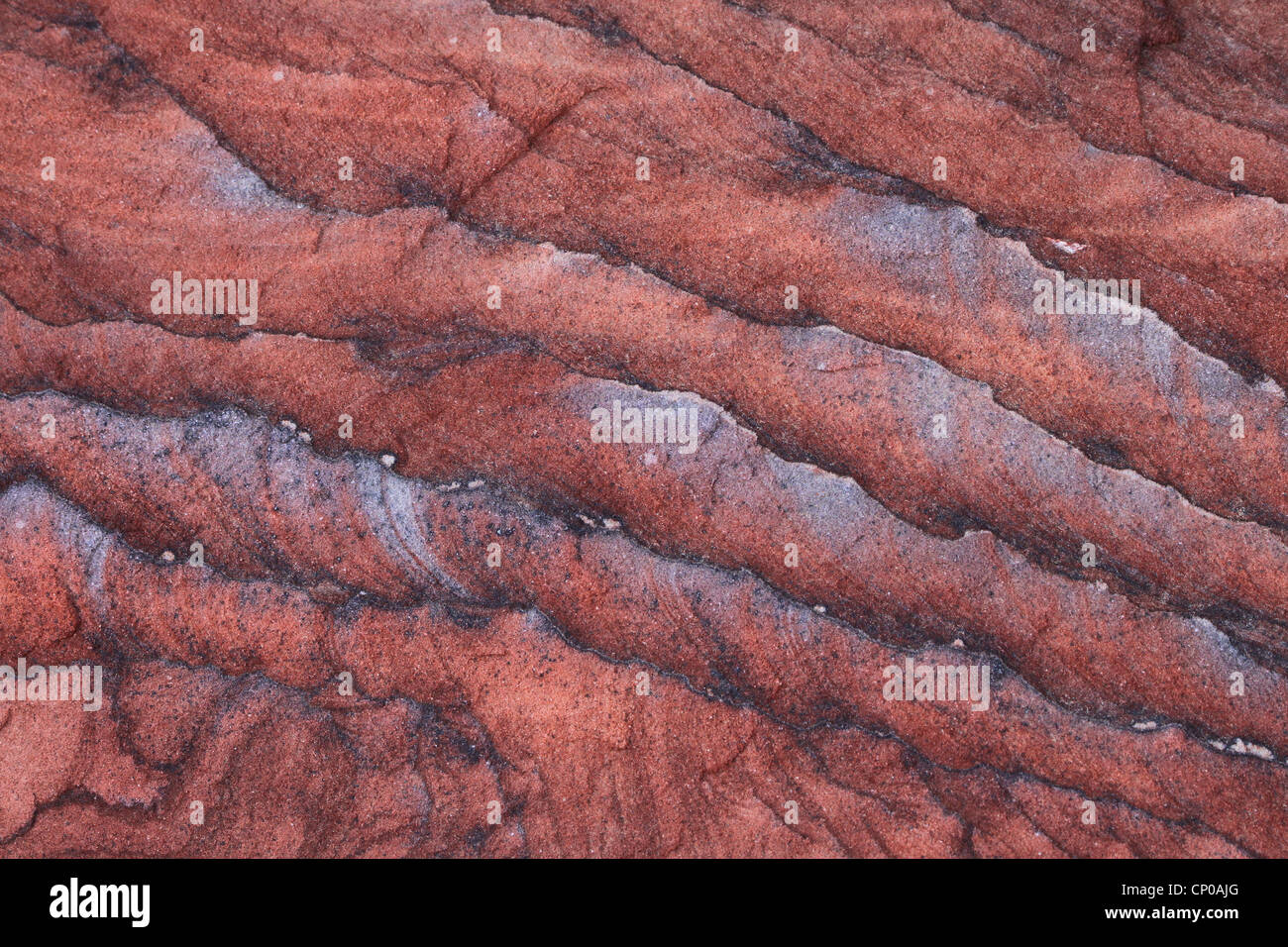 Colorful surface of a rocky wall: typical red sandstone formations ...