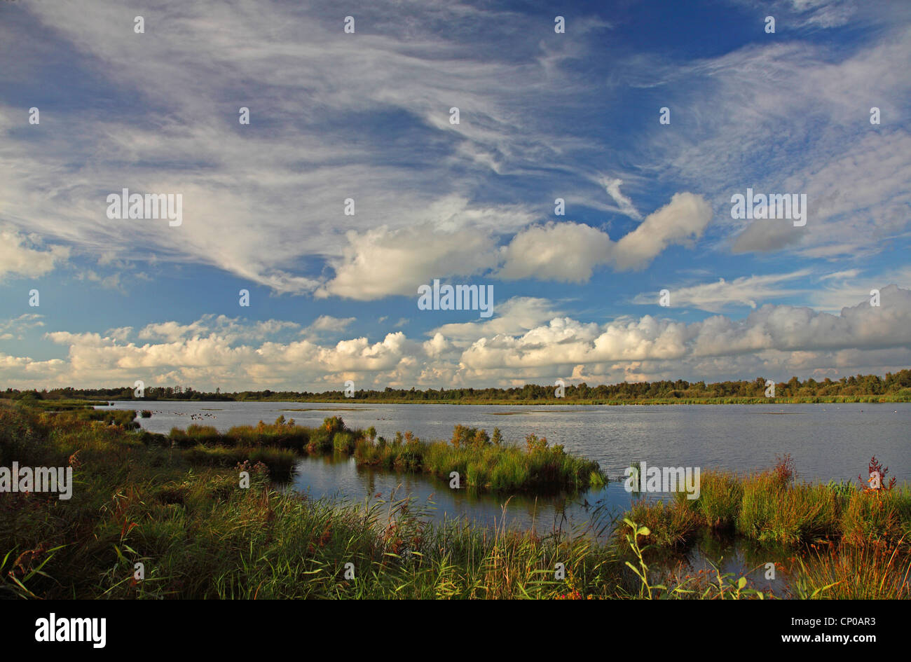 cloudy sky over nature reserve Easterskar, Netherlands, Frisia Stock ...