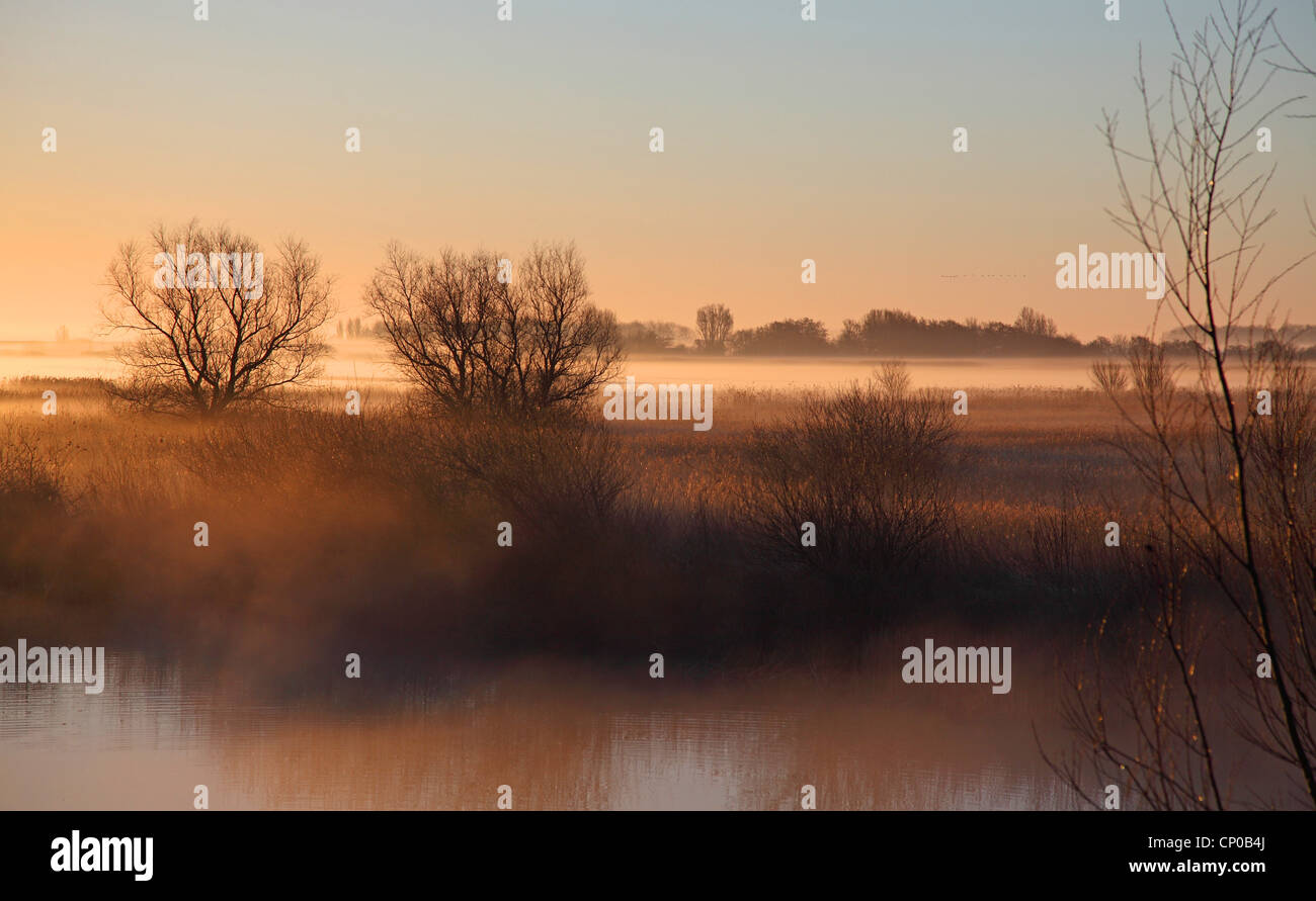 M ground fog hi-res stock photography and images - Alamy