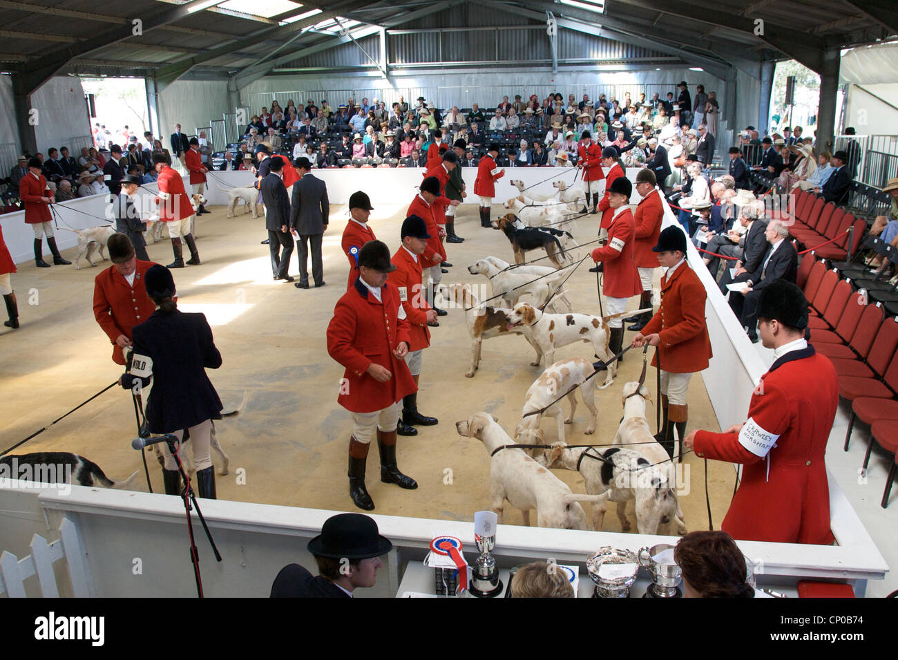 Peterborough hound show hi-res stock photography and images - Alamy